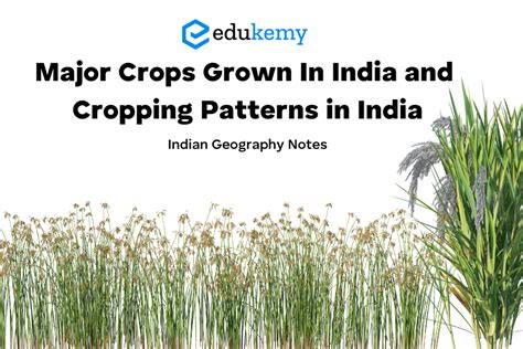 Major Crops In India And Cropping Patterns In India Upsc Indian Geography Notes Blog