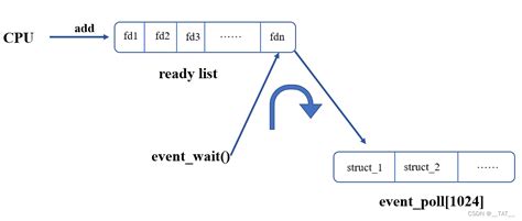 Linux学习笔记（epoll，io多路复用）epoll Io多路复用 Csdn博客