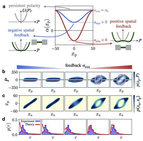 Geometry Adaptation Model A Schematic Illustration Of The Polarity