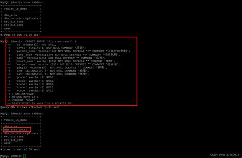 Doris：binlog Load导入数据