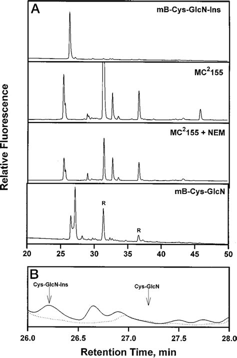 Hplc Chromatograms Method 5a For Determination Of Cys Glcn Ins And