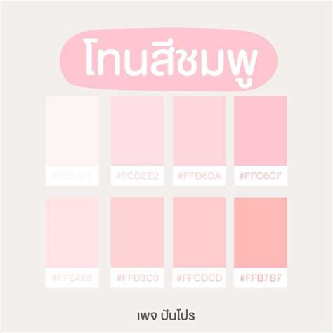 รวม 70 โค้ดสีโทนพาสเทล สดใสน่ารักโดนใจสายหวานกันไปเลยจ้าา 🌞 ปันโปร Punpromotion Color