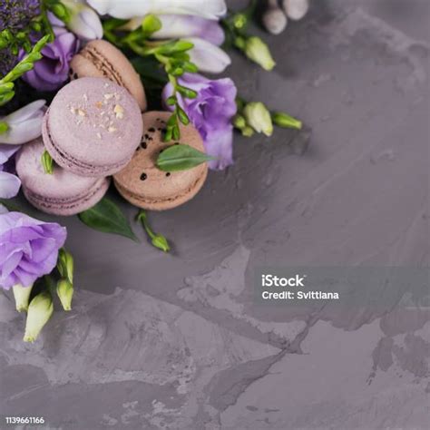 회색 콘크리트 배경에 꽃을 혼합 달콤한 프랑스어 마카롱의 힙 개념에 대한 스톡 사진 및 기타 이미지 개념 구도 꽃 식물 Istock