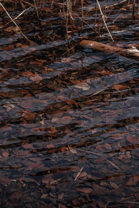 4k صور سوداء للكمبيوتر Photos Download The Best Free 4k صور سوداء