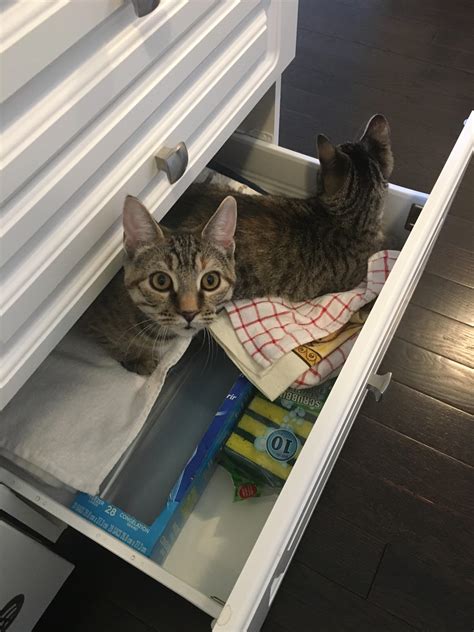 Need More Files Based Off P80 Rails R Fosscad