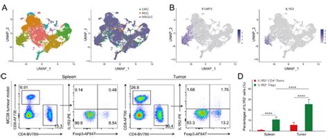 项目文章丨单细胞测序揭示il1r2通过上调caf中mhc Ii表达促进tme中treg细胞浸润 知乎