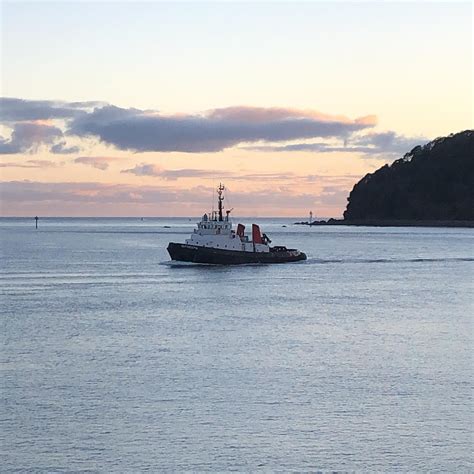 The Skiving Scholar Home