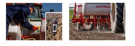 Successful Sunflower Sowing Guide To Maximize Crop Yields Through Effective Sowing Techniques