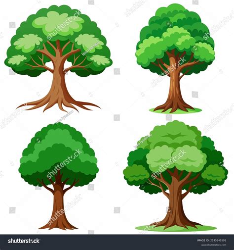 Four Different Types Trees Shown Image Stock Vector Royalty Free
