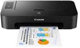 Output And Input Devices Examples