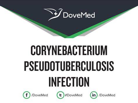 Corynebacterium Pseudotuberculosis