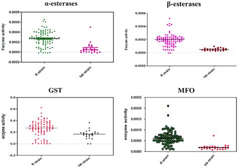 What Is Enzyme Activity Assay At Larry Hinojosa Blog