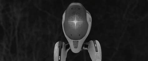 Juniper Island Linkedin