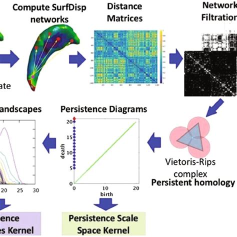 Method Workflow For The Shape Topology Networks Download Scientific Diagram