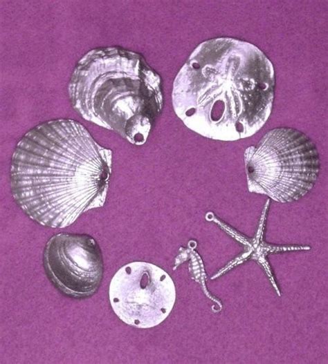 Items Similar To Small Shell Collection On Etsy