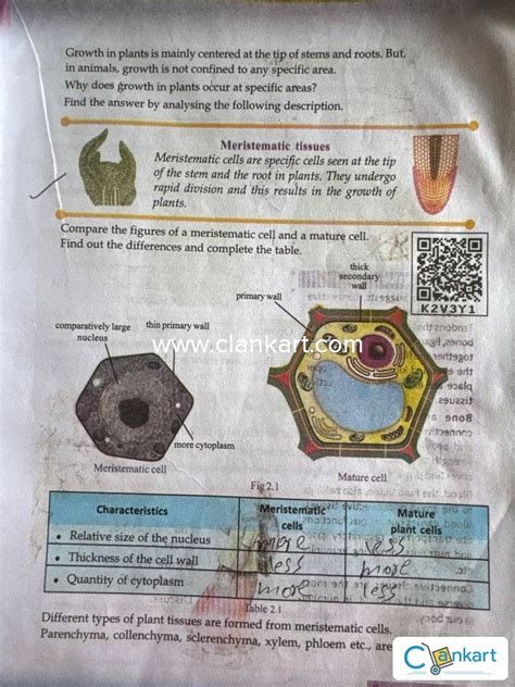 Buy Basic Science Book In Excellent Condition At