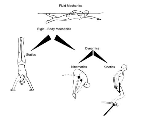 1 Tasks Of Classical Mechanics In Reference To Sport Knudson 2007 Download Scientific