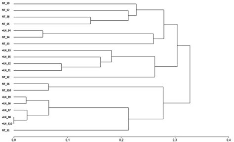 Upgma Dendrogram Derived Using Jaccards Coefficient Of Similarity