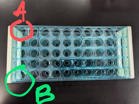 Dna Sequence Analysis Rlabrats
