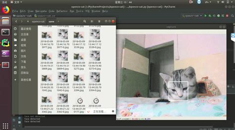 使用opencv和tensorflow实现猫主子识别 ——提取猫脸图片 Conorpai的博客
