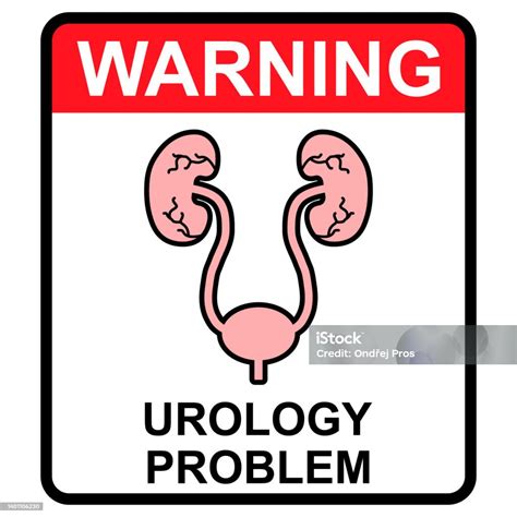 비뇨기과 건강 인간 아이콘 해부학 의료 신체 방광 기호 생물학 벡터 일러스트 레이 션 개념에 대한 스톡 벡터 아트 및 기타 이미지 개념 건강관리와 의술 건강한 생활