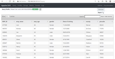 Apache Drill Querying JSON Data Tutorial CloudDuggu