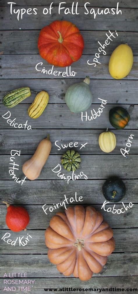 30s Magazine Pumpkins Winter Squash Recipes Potato Varieties Winter Squash