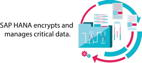 What Is Sap Hana The Best Sap Hana Tutorial For Beginners Cloudfoundation Blog