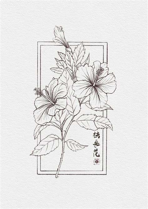 植物花卉线稿合集 花瓣网