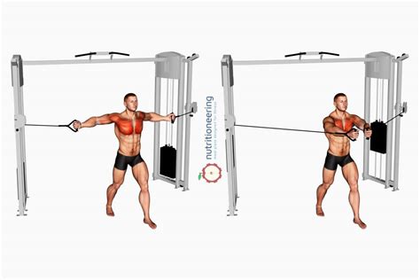 Standing Incline Cable Flyes Incline Dumbbell Cable Fly Chest Exercise