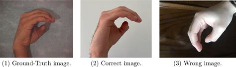 Rgb Arabic Alphabets Sign Language Dataset Paper And Code Catalyzex