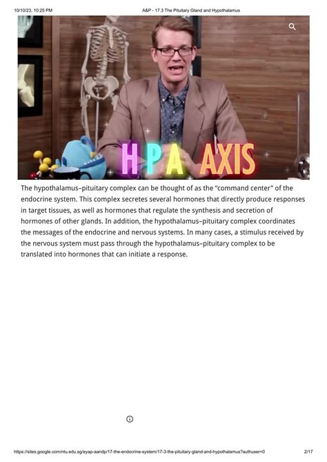 Lecture Notes Ss9601 Human Anatomy And Physiology Ntu Thinkswap