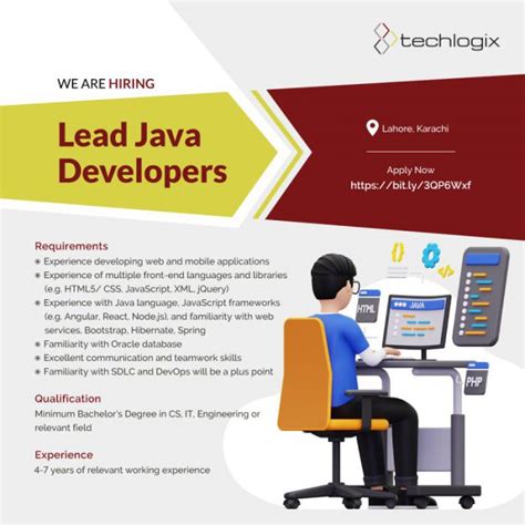 FCIT Lead Java Developer