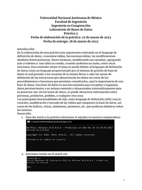practica 5 bases de datos completa pdf bases de datos sql