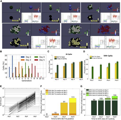 Multi Scale Dynamical Modeling Of T Cell Development From An Early Thymic Progenitor State To