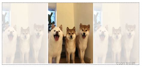 Css中的透明度、css中的鼠标指针的样式透明鼠标指针 Csdn博客