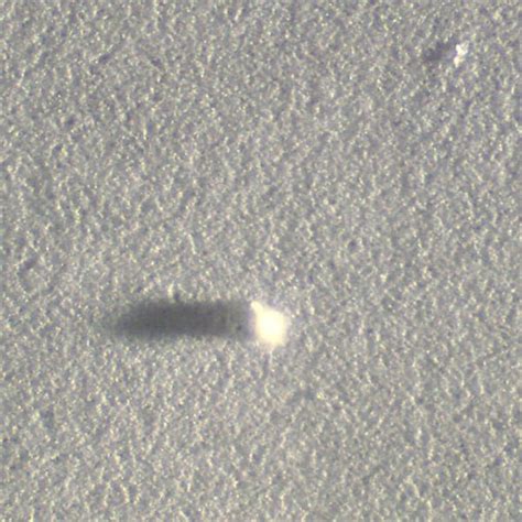 Image Analysis Applications Examples