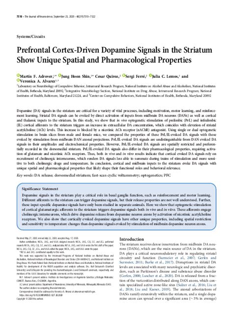 Pdf Prefrontal Cortex Driven Dopamine Signals In The Striatum Show Unique Spatial And