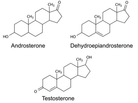 Structural Chemical Formulas Of Purine Alkaloids Caffeine Structural Chemical Formulas Of Purine Alkaloids Caffeine