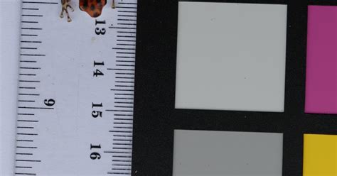 How Can I Import A Raw Image In Imagej Image Analysis Image Sc Forum