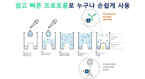 Cytena 샘플 신청 항체 및 항체융합단백질 정량 키트 Fquant Antibody Bispecific And Fc