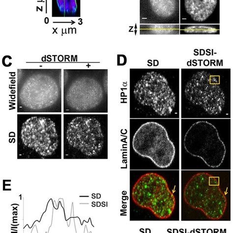 Multispectral Super Resolution Imaging Of The Nucleus A Point Download Scientific Diagram