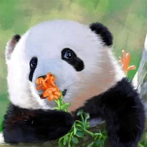 Xiaopeng Zhang National Center For Nanoscience And Technology