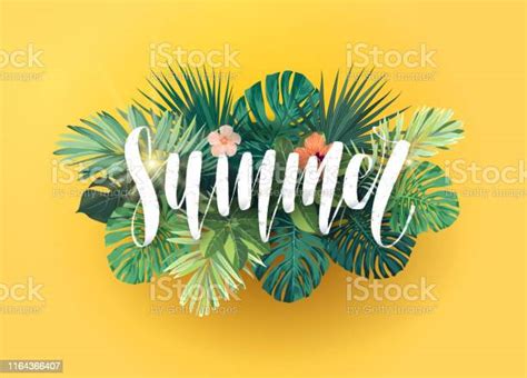 이국적인 몬스터야자수잎과 히비스커스 꽃과 녹색과 노란색 여름 열대 배경 3d 효과와 흰색 편지 벡터 꽃 그림입니다 0명에 대한