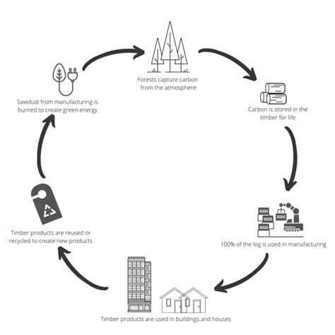 Timbers Circular Economy Ash