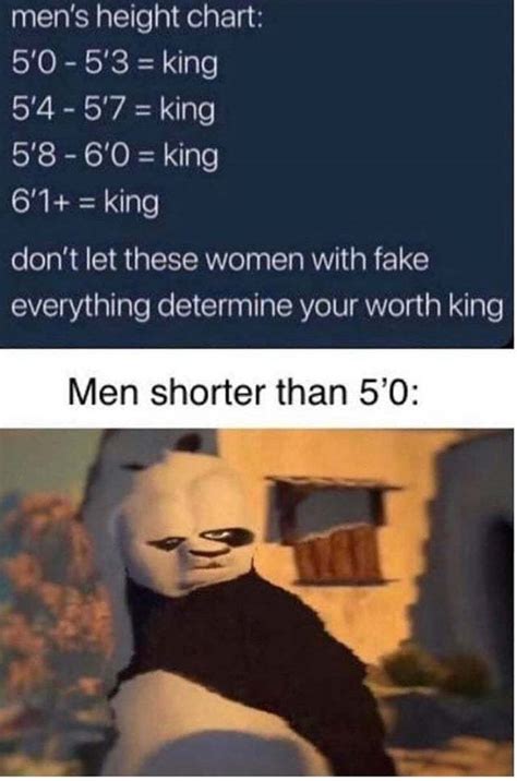 Mens Height Chart Dont Let Women With Fake Everything Determine Your Worth King Meme By