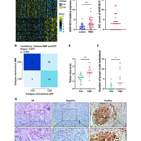 Performance Validation Of Predictive Metabolic Genes And Expression Download Scientific