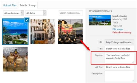 How To Add A Caption To Images In Wordpress Themeskills