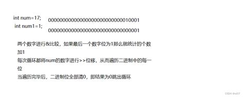c语言，求一个整数存储在内存中的二进制中的1的个数 查询整数在内存中1的个数 csdn博客