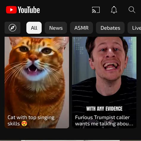 Algorithm Thinks Cat Is Purrgressive Commentator R Thedavidpakmanshow